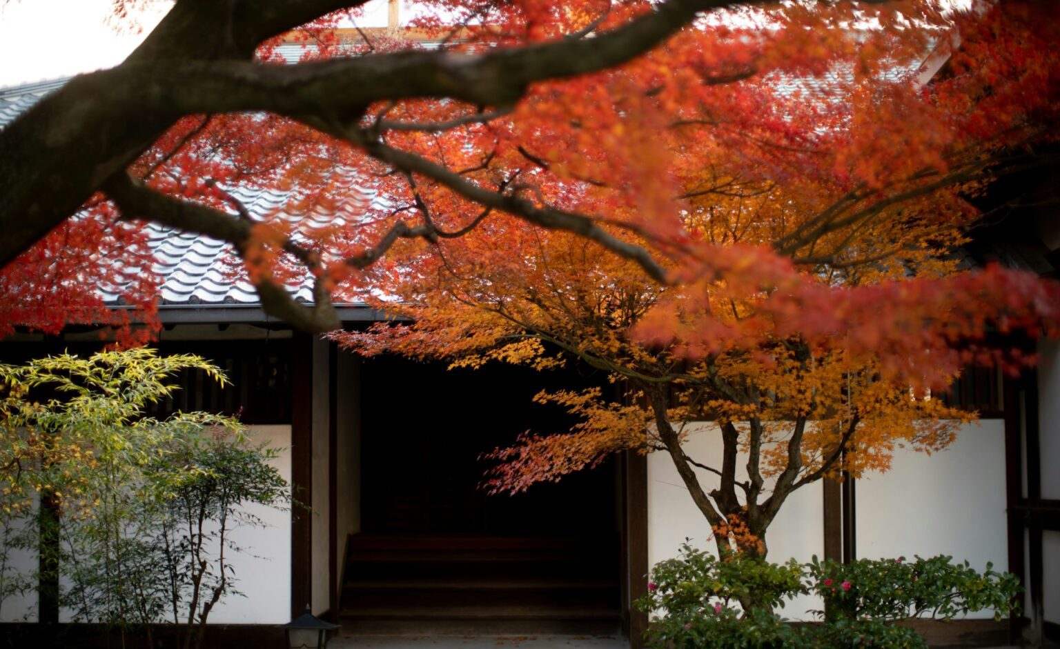 Best Fall Foliage Destinations: Top Places to Experience Autumn Colors